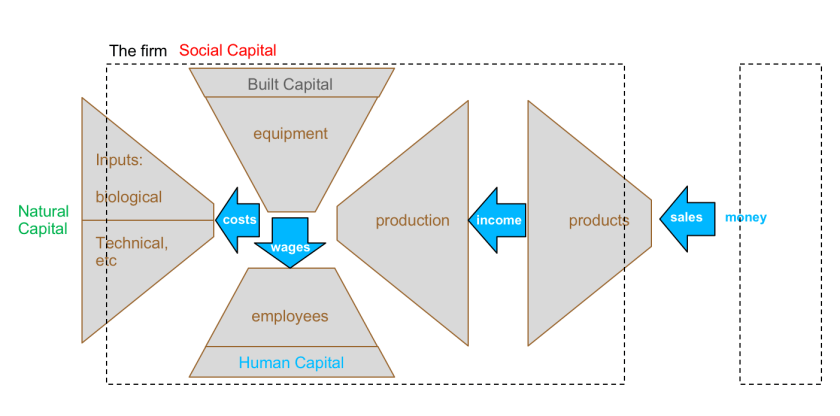 A natural capital approach to the circular economy – Stephen Hinton ...