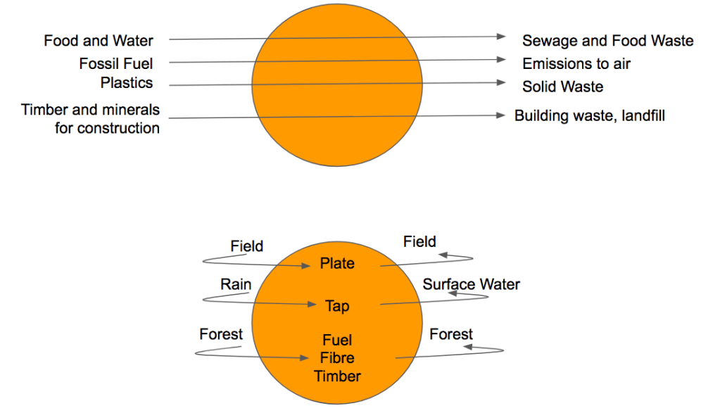 Multi capital scoring: how to measure what matters in the circular ...