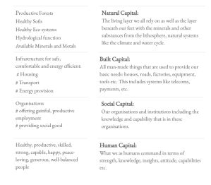 Multi capital scoring: how to measure what matters in the circular ...