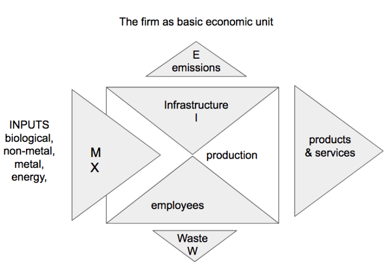 Multi capital scoring: how to measure what matters in the circular ...