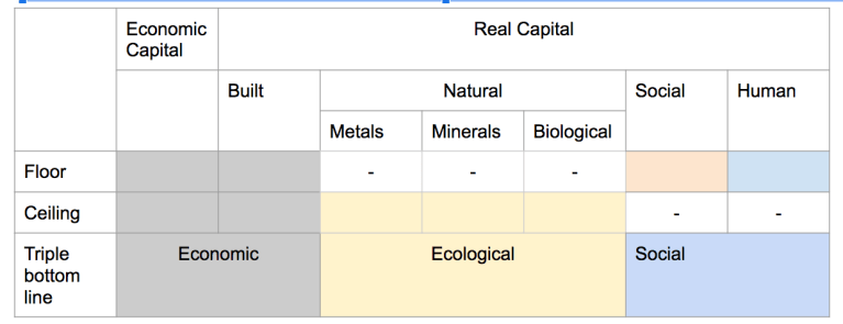 Multi capital scoring: how to measure what matters in the circular ...